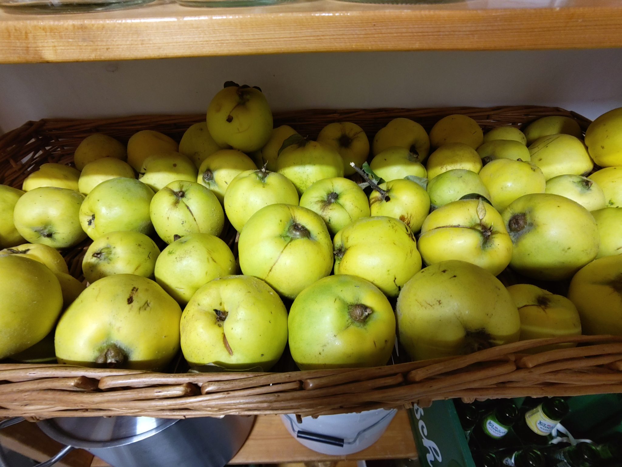 Kweeperen – Geertjes Hof